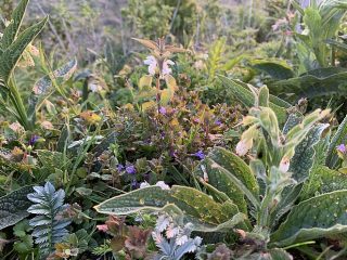 Krater Hemels Gewelf: bijzonder landschapskunstwerk en uitkijkpunt in ...