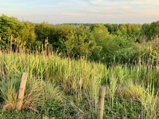 Krater Hemels Gewelf: bijzonder landschapskunstwerk en uitkijkpunt in ...