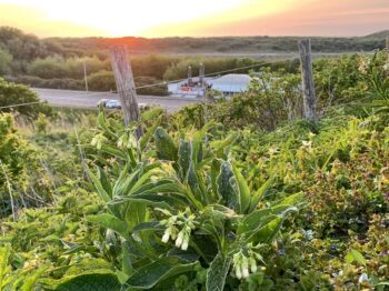 Krater Hemels Gewelf: bijzonder landschapskunstwerk en uitkijkpunt in ...