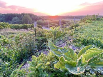 Krater Hemels Gewelf: bijzonder landschapskunstwerk en uitkijkpunt in ...