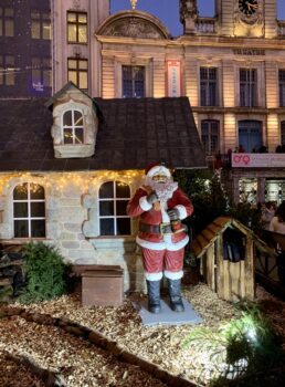 Kerst in Lille: kerstmarkt, reuzenrad, draaimolen en gezellige ...