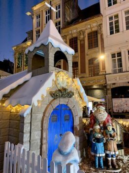 Kerst in Lille: kerstmarkt, reuzenrad, draaimolen en gezellige ...