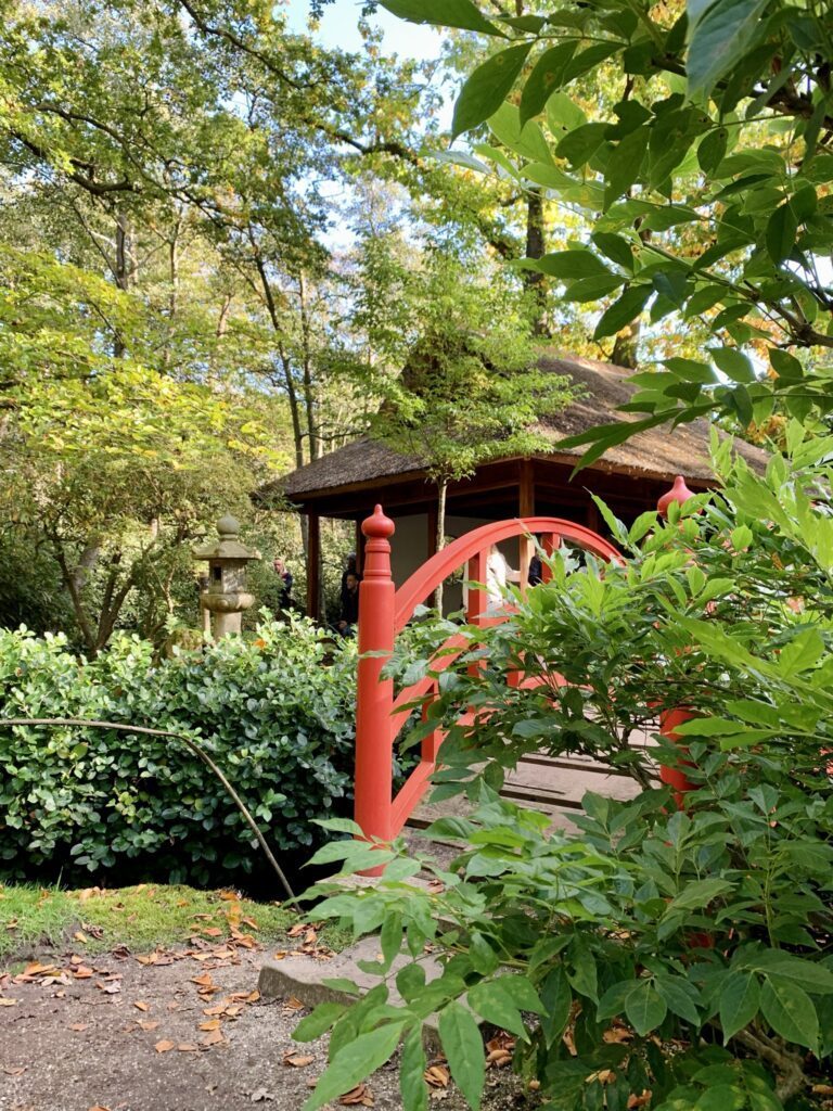 De Japanse Tuin in de herfst bezoeken: wat is het mooiste of beste ...