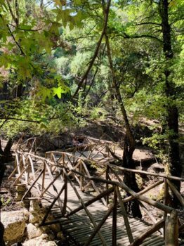 Vlindervallei Rhodos bezoeken: wandeling in de groene Valley of ...